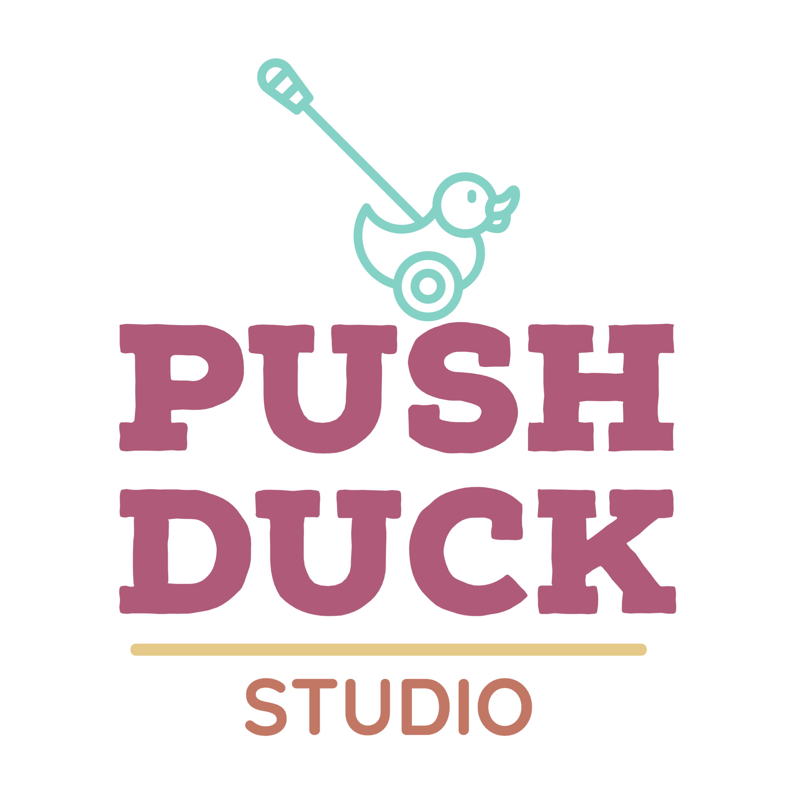 Push Duck Studio